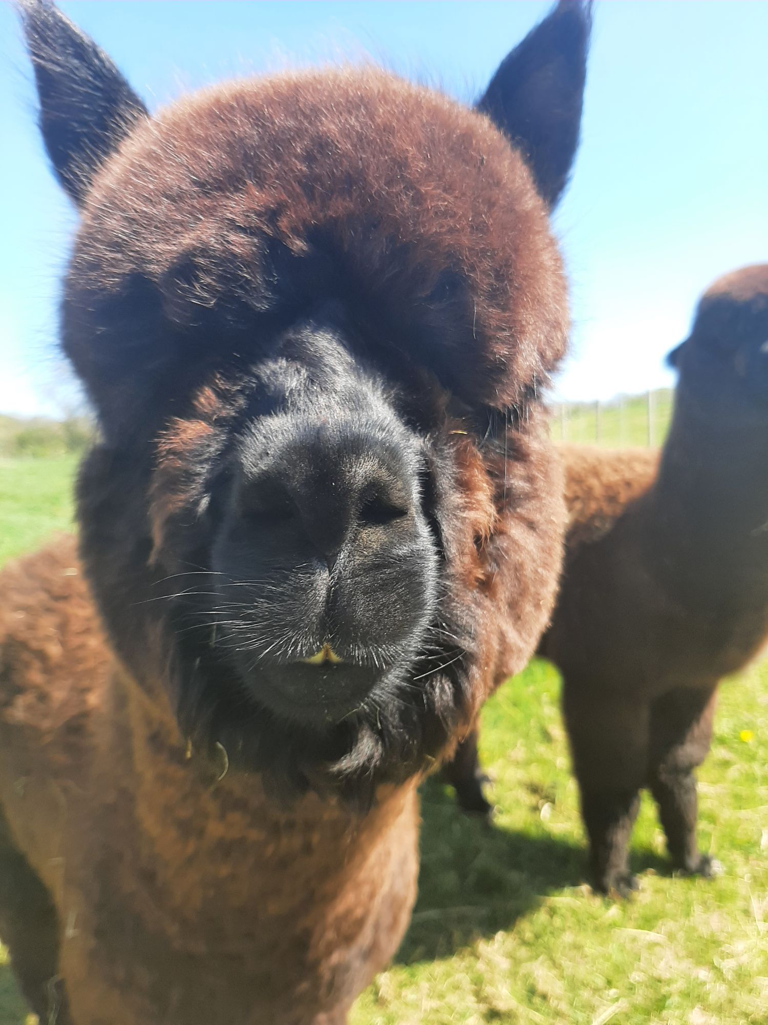 Gift Vouchers And Experience Days » Home