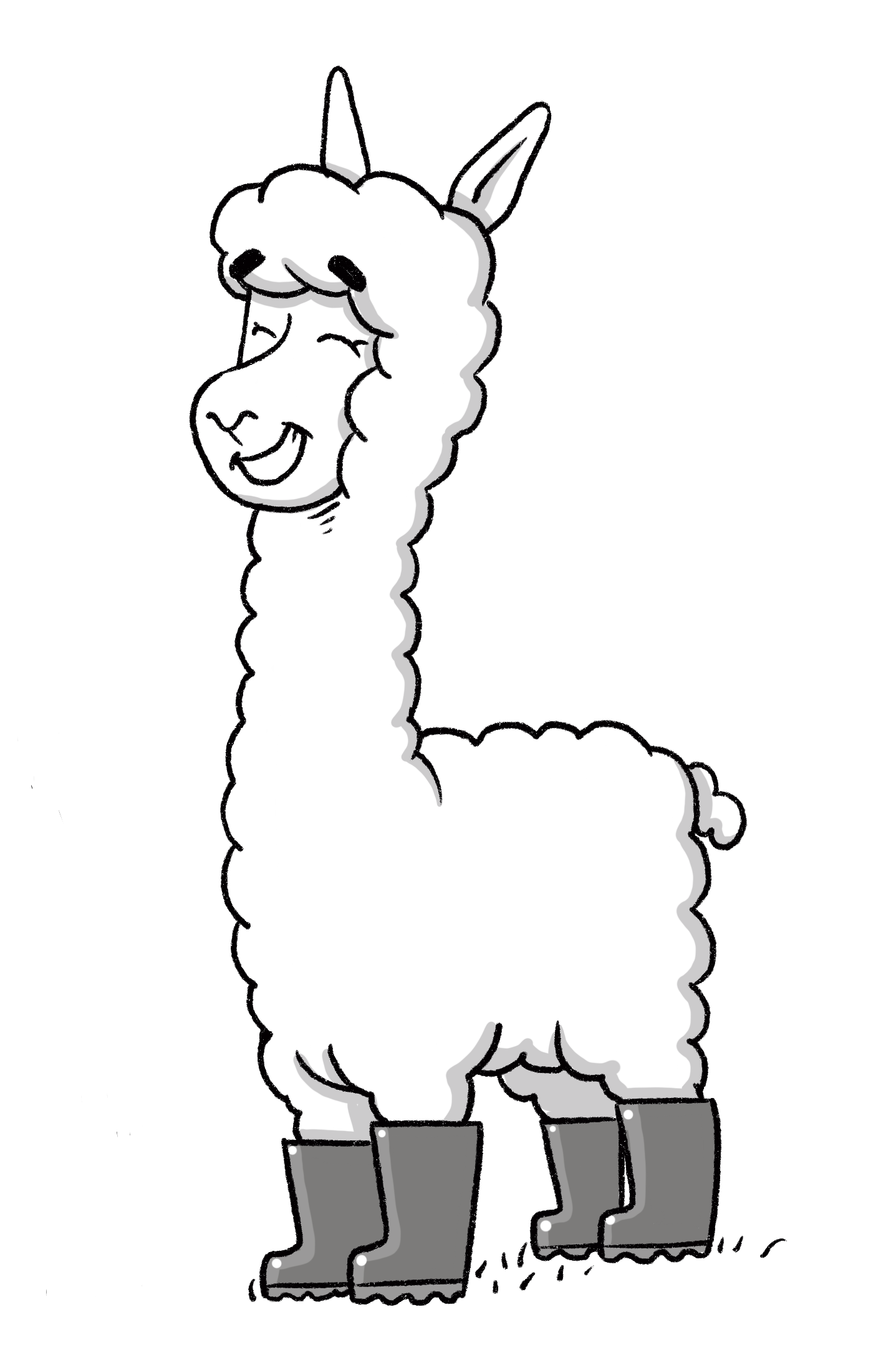Alpaca Experiences