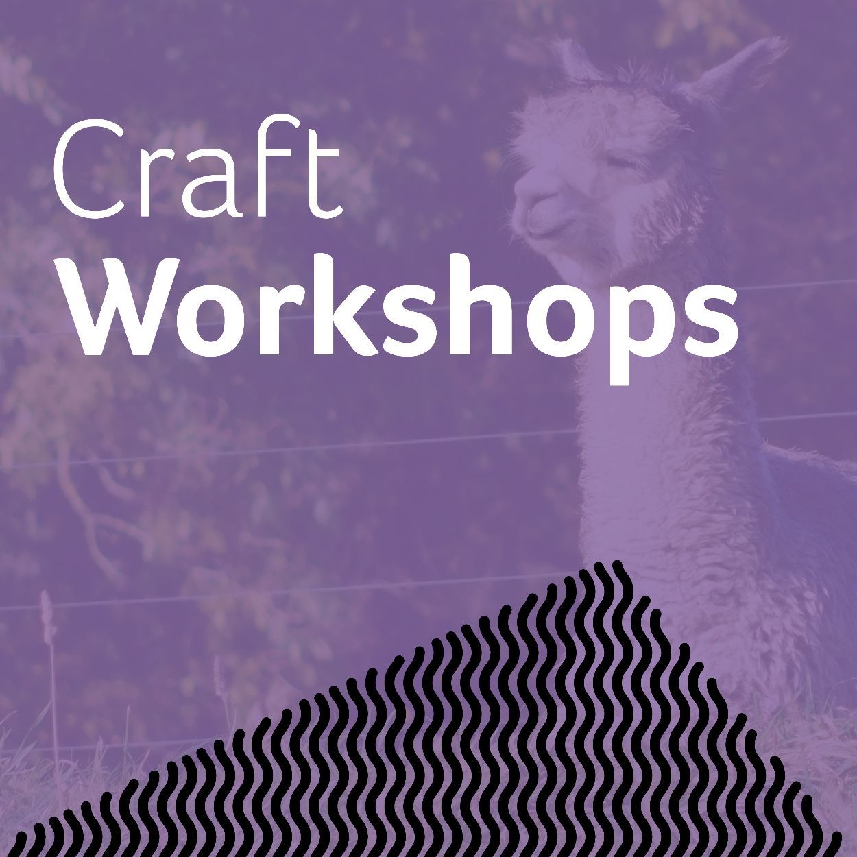 Wolfridge Alpaca Barn