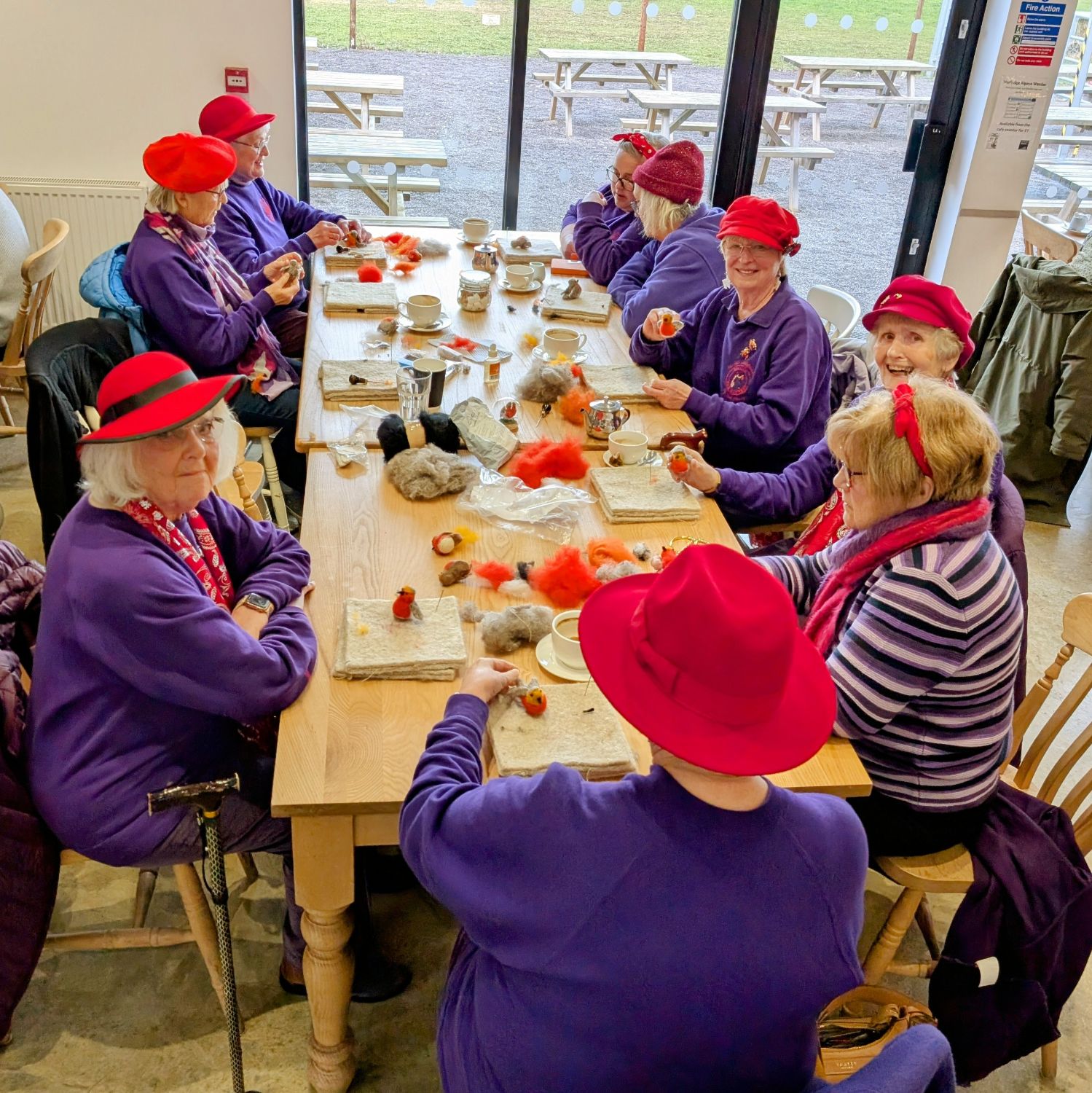 Wolfridge Alpaca Barn