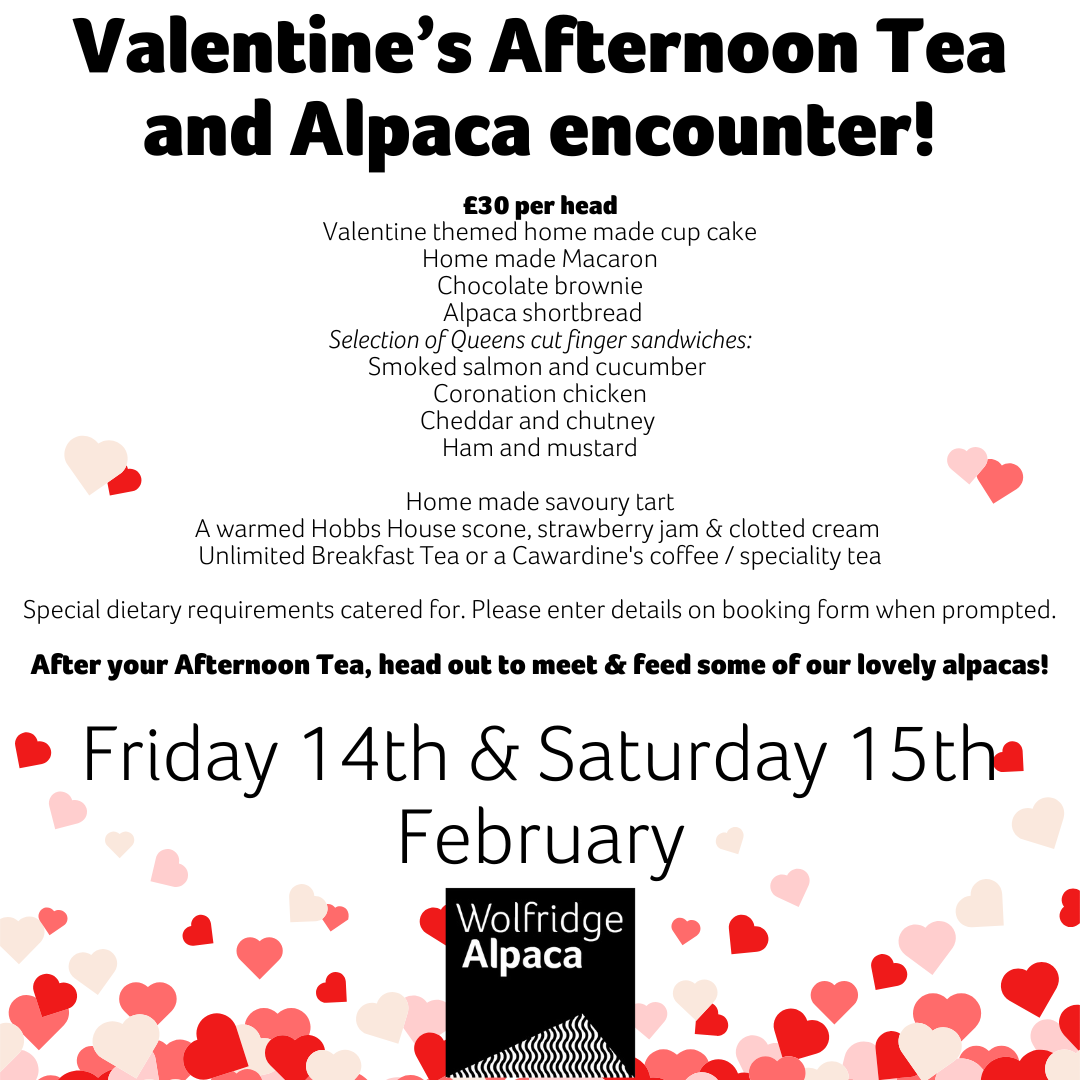 Afternoon Teas & Cake Tapas