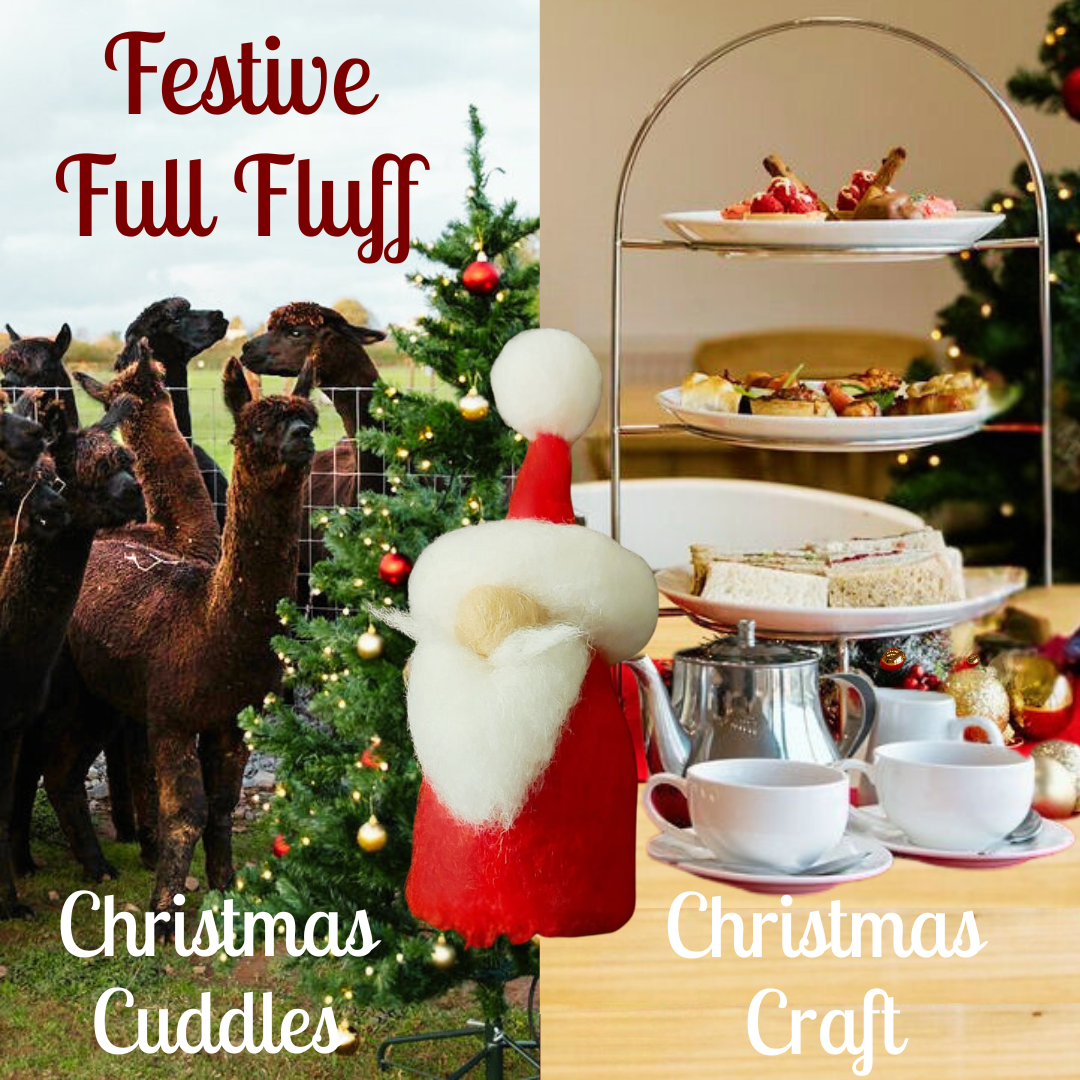 Wolfridge Alpaca Cafe